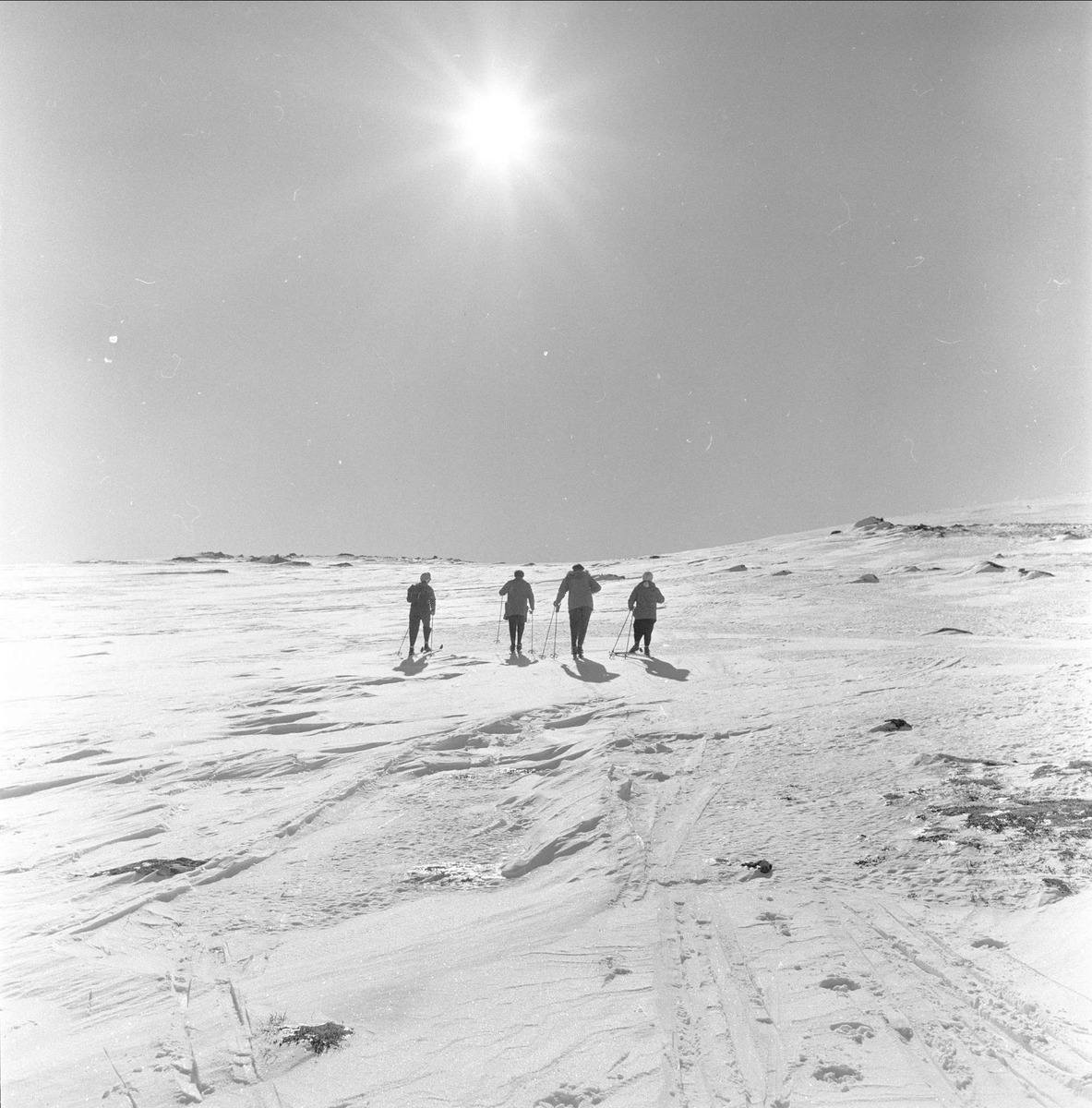 Hummelfjell, Os, Hedmark. Skiløpere. - Norsk Folkemuseum / DigitaltMuseum