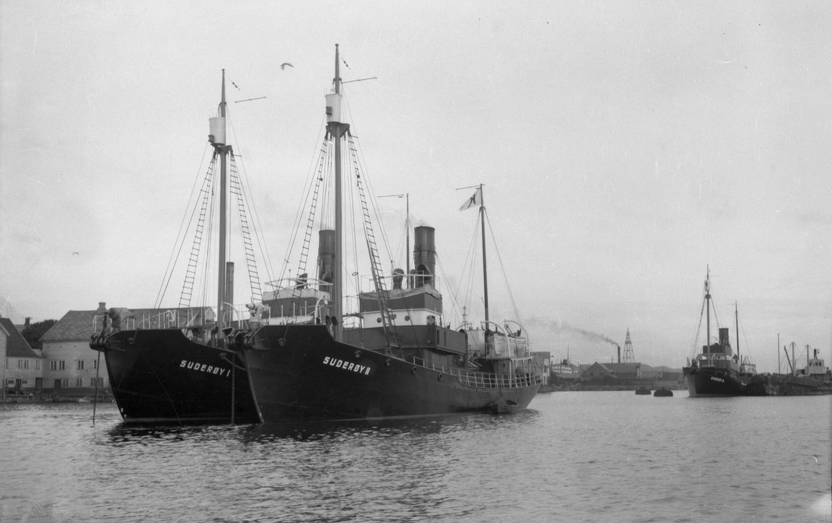 To av dampskipene D/S "Suderøy"s hvalbåter ankret opp. To andre ...