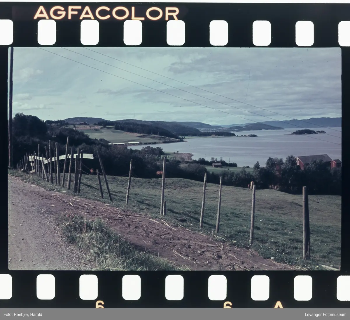 Landskap ved Trondheimsfjorden. - Levanger Fotomuseum / DigitaltMuseum