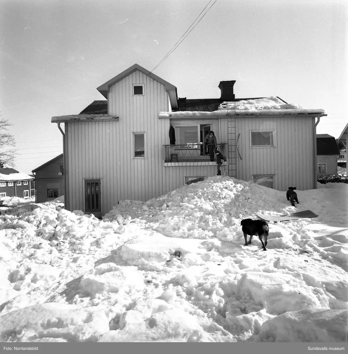 Vinterbilder från Gränsgatan på Södermalm. Villor, snöhögar, hundar ...