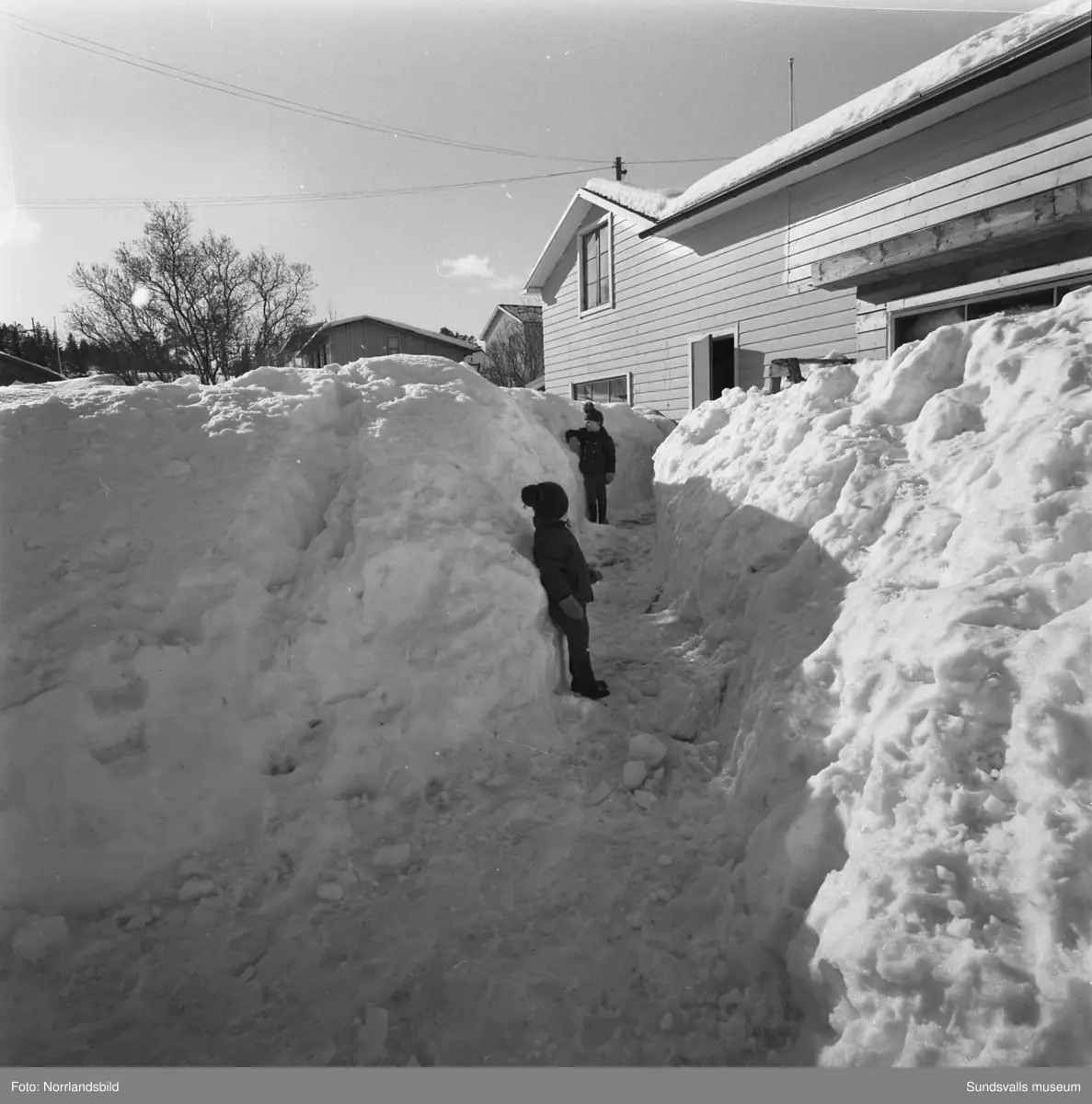 Vinterbilder från Gränsgatan på Södermalm. Villor, snöhögar, hundar ...