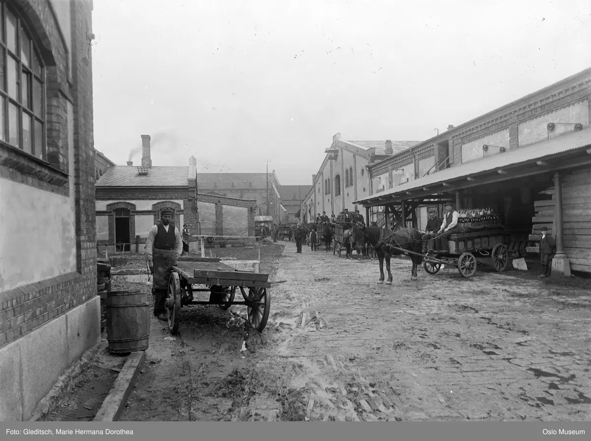 Bryggerihester på Ringnes bryggeri. - Oslo Museum / DigitaltMuseum