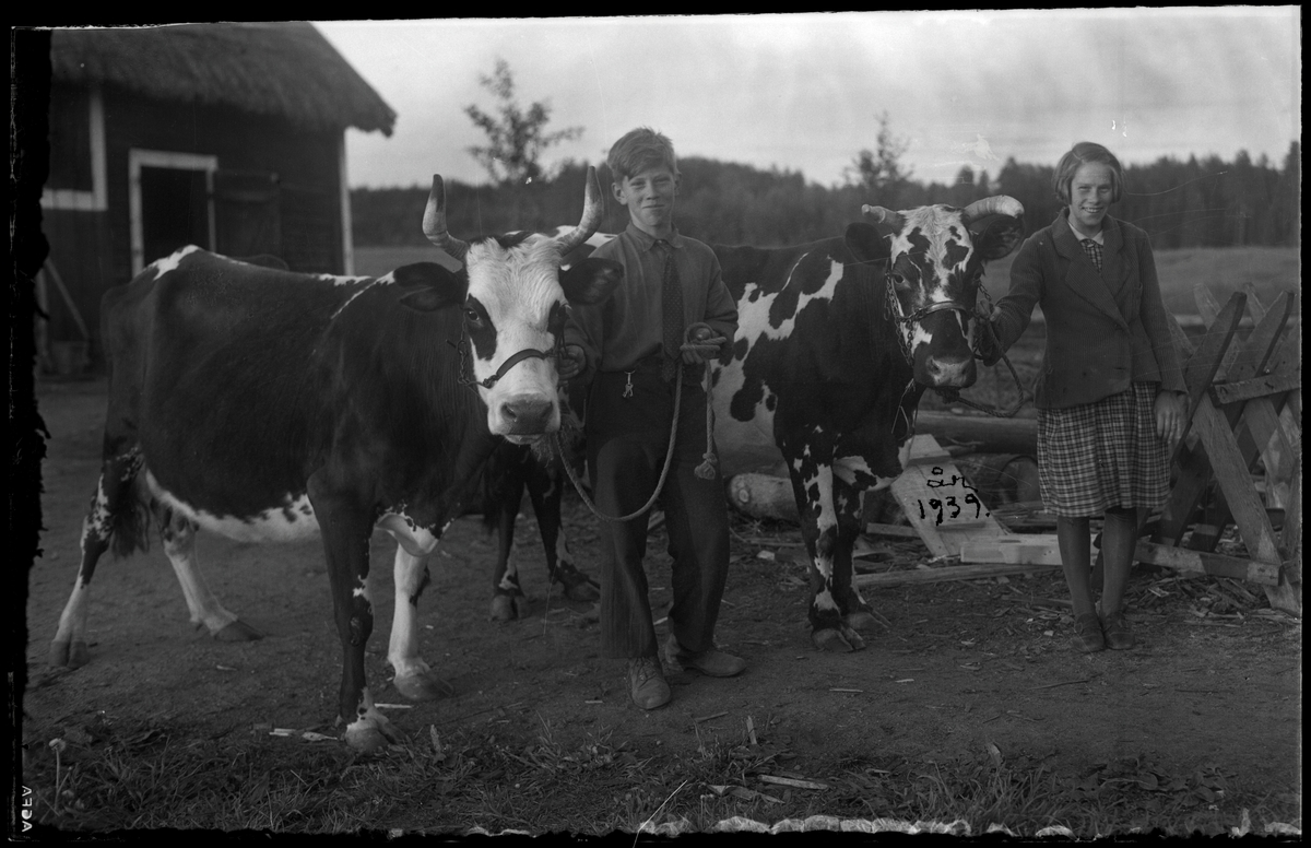 Ungdomer leder kossor - Västergötlands museum / DigitaltMuseum