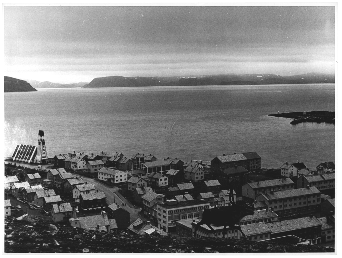 Reinsdyr løper i byen, Hammerfest - DEXTRA Photo / DigitaltMuseum