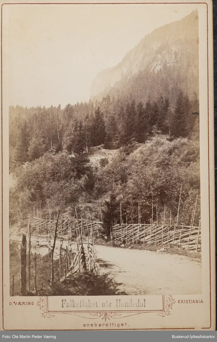 Prospekter fra Ringrike. En bildefolder med bilder fra Hole og ...