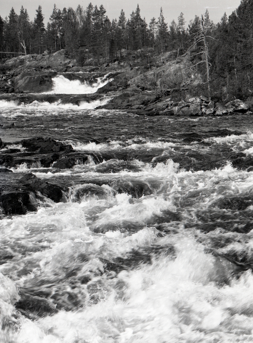 Virvlande och skummande vatten i en fors. - Hälsinglands Museum ...