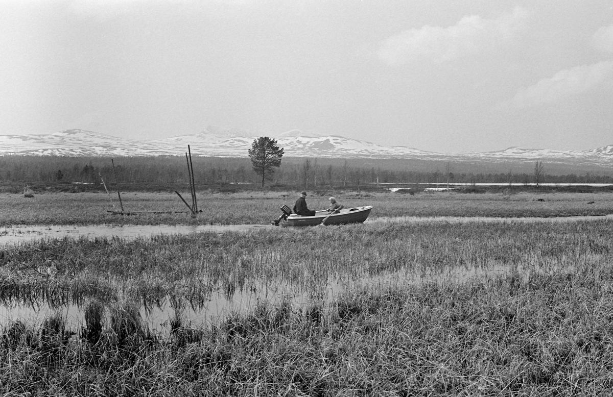 Gjeddefiskene Jo Bakken og Joseph Bakken, fotografert mens de rodde seg ...