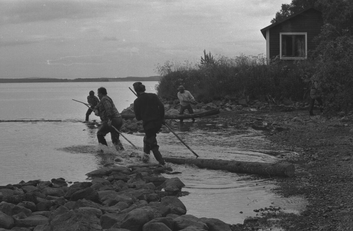 Bäckmyrviken. Dan Fritzon, Tryggve Persson, Göte Nilsson och Karl-Erik ...