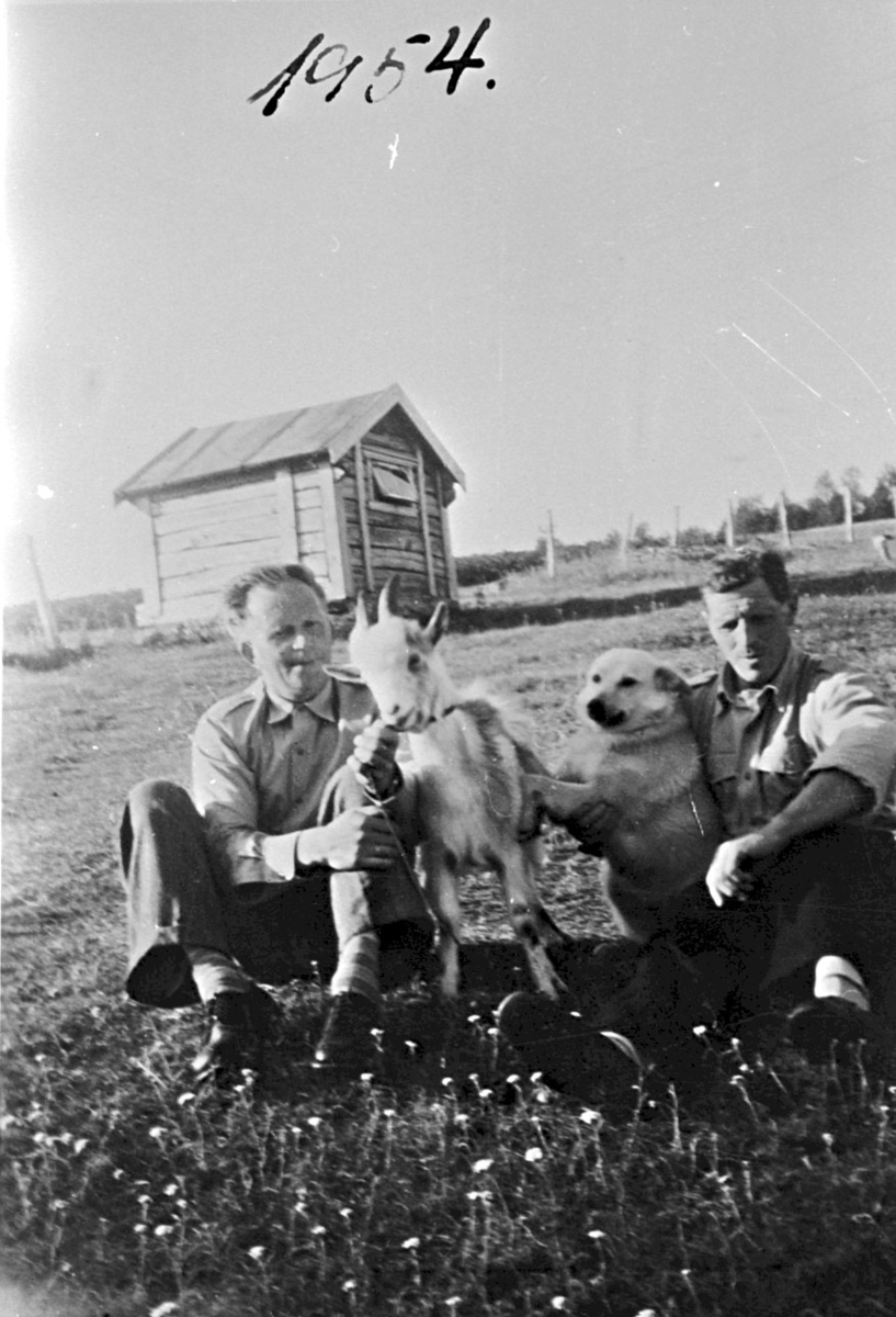 Harald Kvam og Aksel Pedersen med kje og hund, Aursfjord - Midt-Troms ...