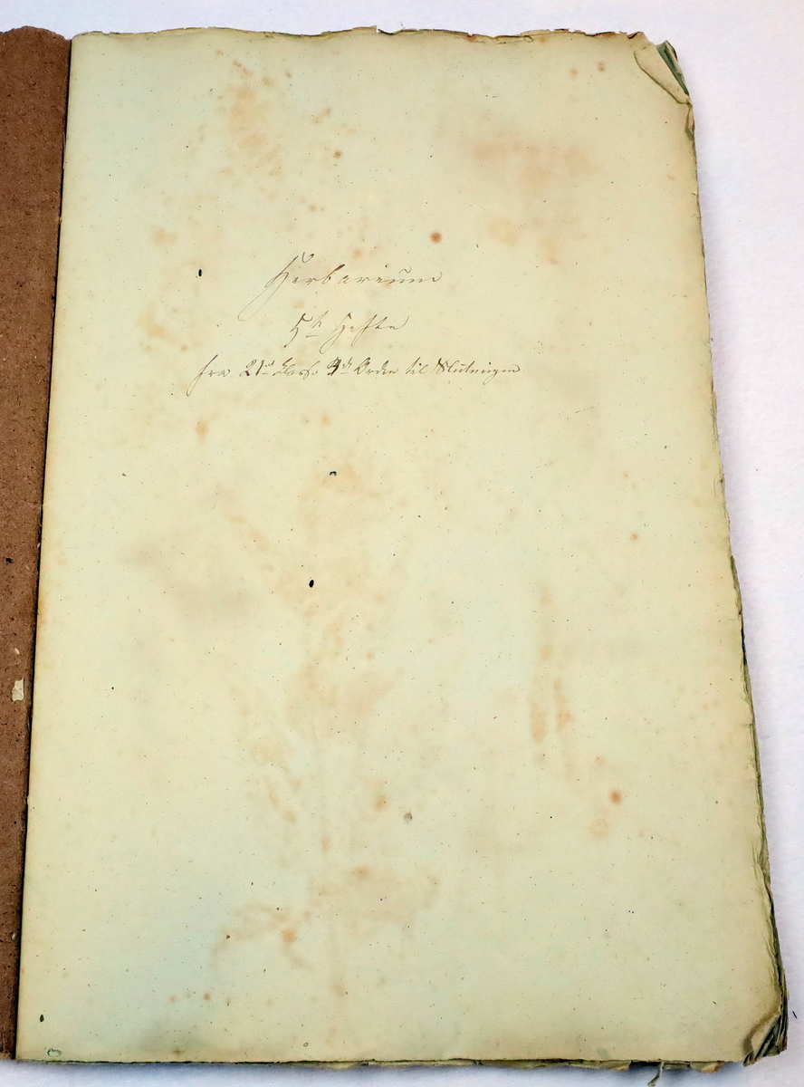 Blankmøkmose-Splachnum sphaericum - Nynorsk kultursentrum / DigitaltMuseum