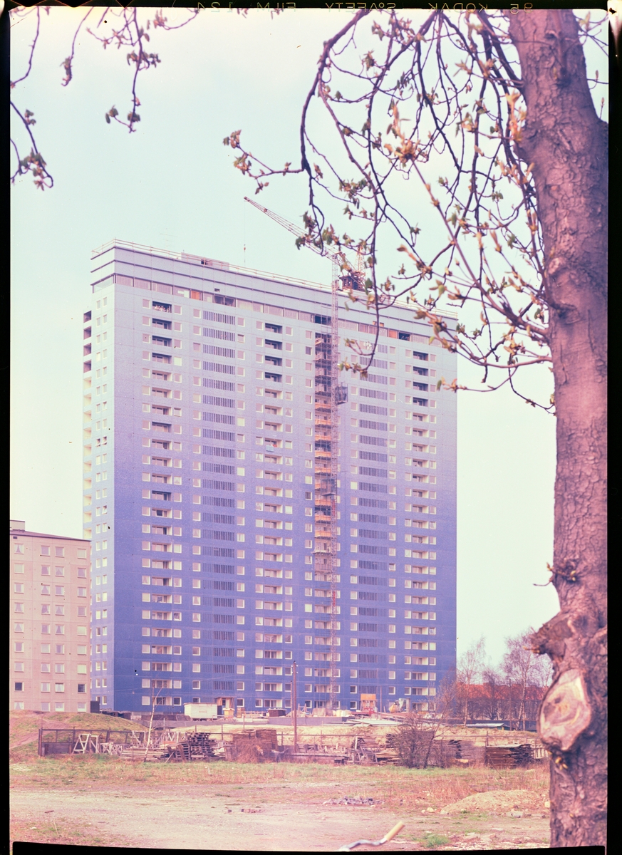 KV. KRONPRINSEN, BLÅ IVÖ-MOSAIK - ArkDes / DigitaltMuseum