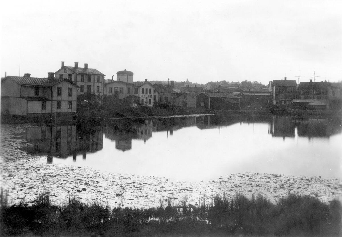 Bild mot Ö. Kvällsbild av gamla tjärnen på "Bockholmen", numera utfylld ...