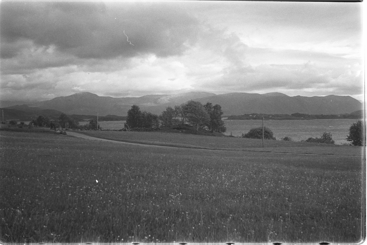 Gravrøys på Ulstein i Ulstein, Sunnmøre. - Universitetsmuseet i Bergen ...