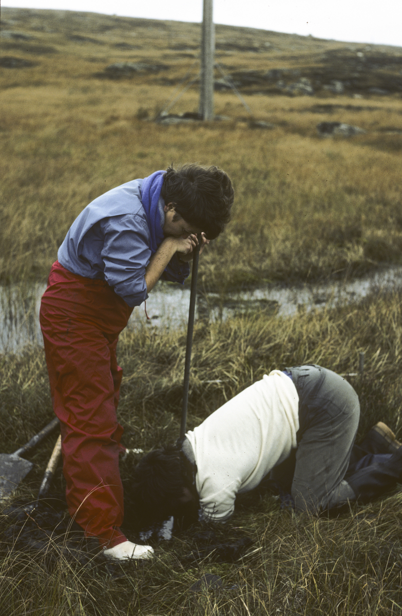 Registrering på Ogn, Bokn k. (jfr tema A4/1985) - Arkeologisk museum ...