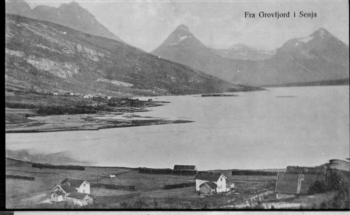 Postkort med motiv fra Grovfjord, fotografert fra Myklevoll mot Løen ...