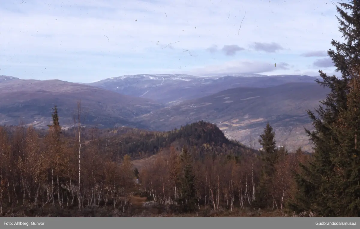 Vågå 1972 Vetahaugen. Skogbygda, Skårvangen, Gjerdingshøe (1755) i bakgrunnen ...