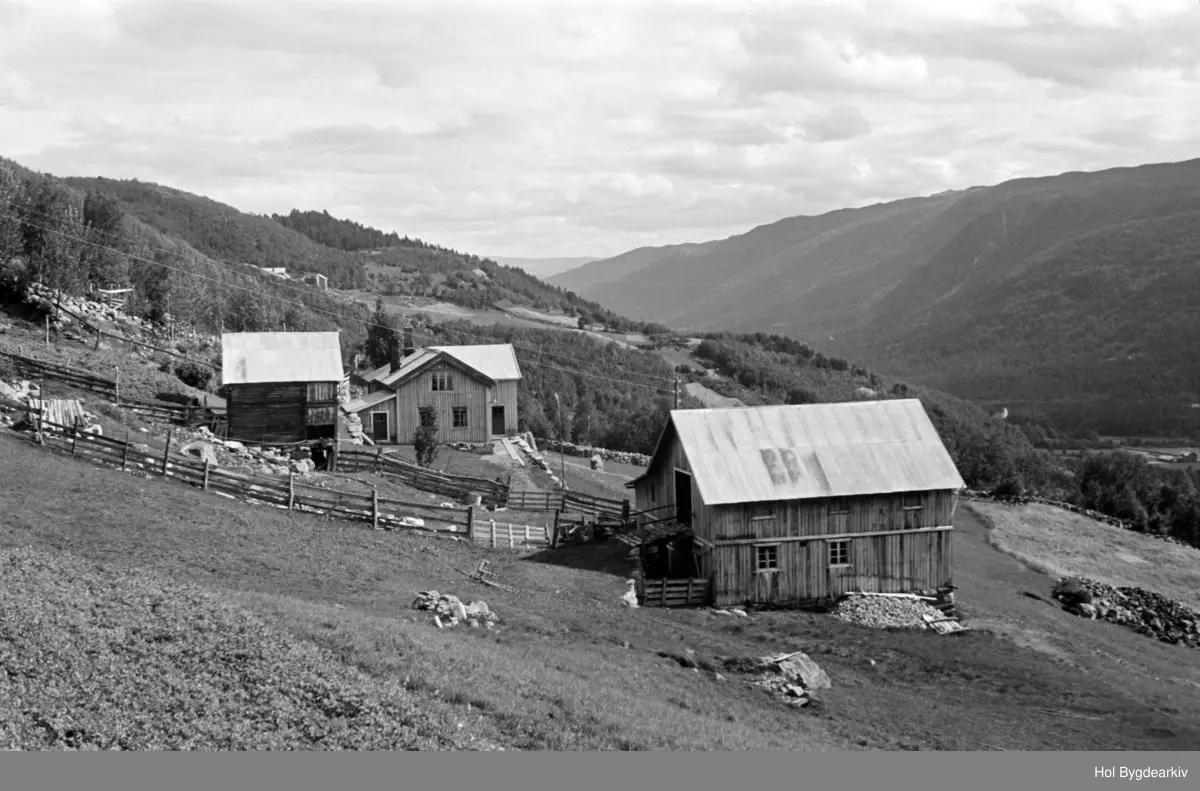 Gardsbruk, våningshus, bislag, låve, fjøs, stabbur, gjerde, - Hol ...