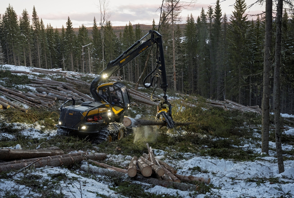 Skogsdrift. Bildet er tatt litt vest for Fallsyringsbakken i Åstdalen ...