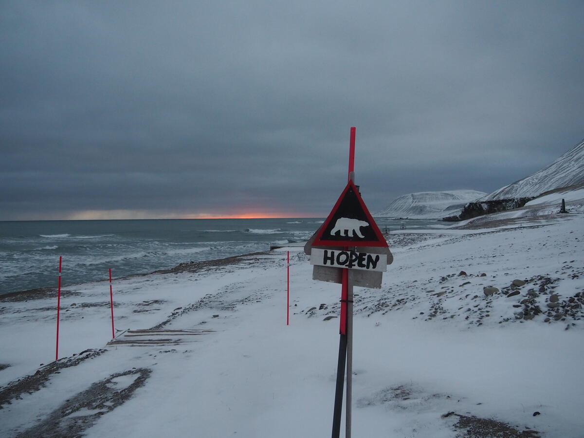 Historier fra Hopen - Svalbard Museum