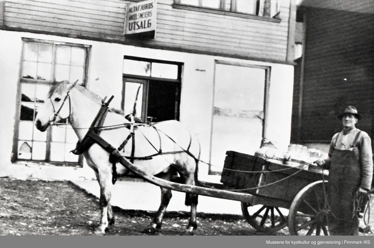 Honningsvåg. Simon Jørgensen og hesten "Gråen" med melkespann på ...