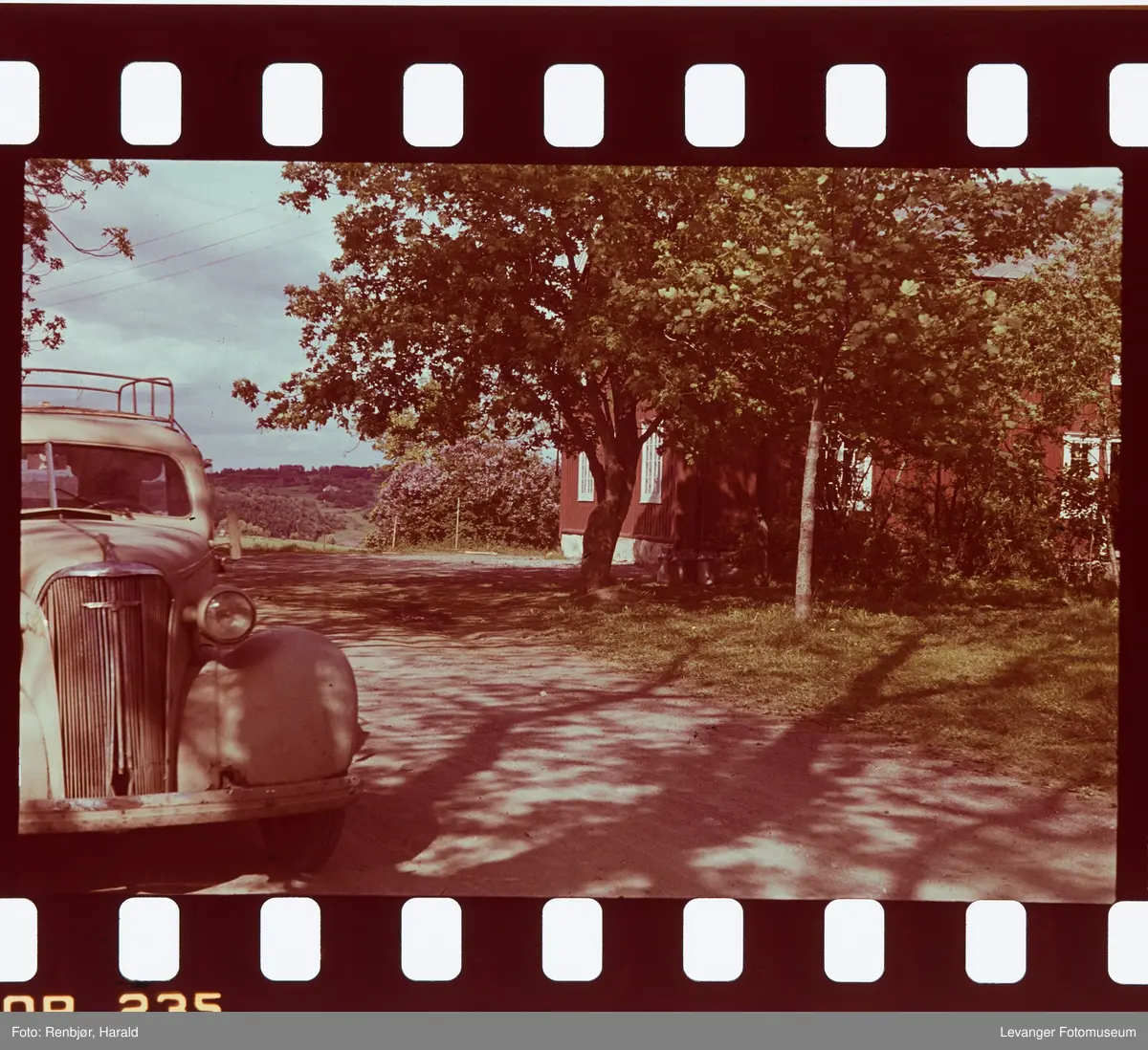 Skygger fra trærne ved bilen. - Levanger Fotomuseum / DigitaltMuseum