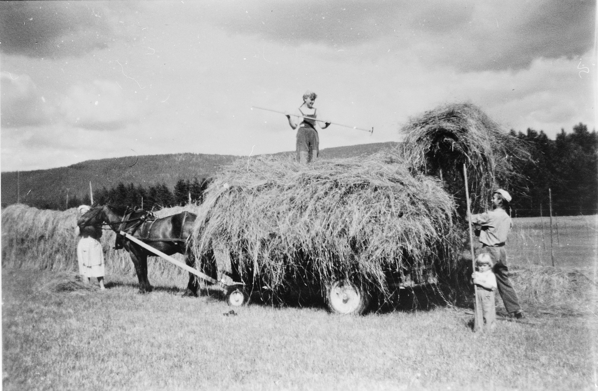 Høykjøring på Langerud, 1954. Mathilde Skatvedt ved hesten, Anne Karine ...