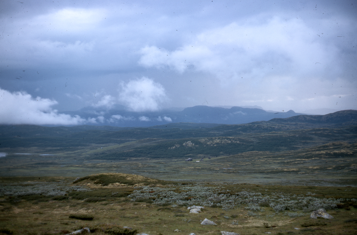 Sletthallen i Nore Oversiktsbilde over jaktterreng i Nore, Sletthallen ...