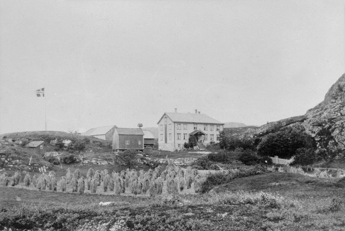 Prospektbilde : gården Balsnes på Sandstad, Hitra, ca. 1920 ...