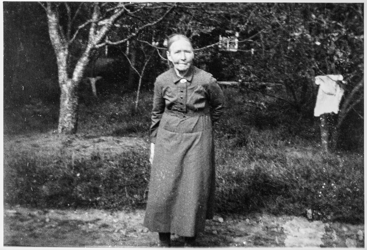 Porträtt Maria Johansson - Vänersborgs museum / DigitaltMuseum