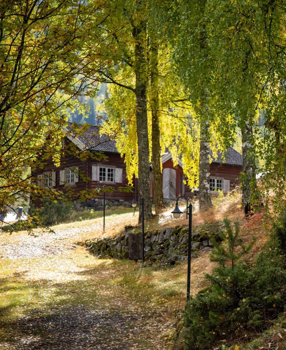 Lokalhistorisk vandring - Hallingdal Museum