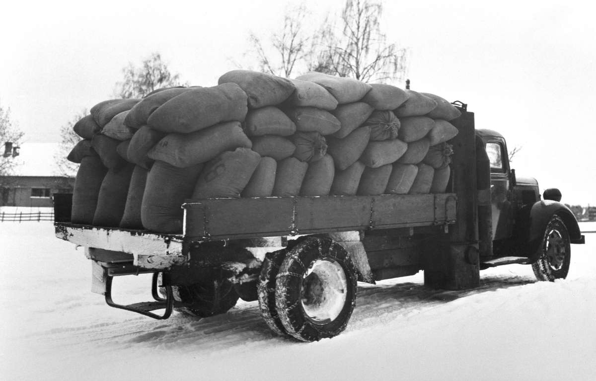 Lastebil med knottgenerator på siden. Transport av kornsekker til ...