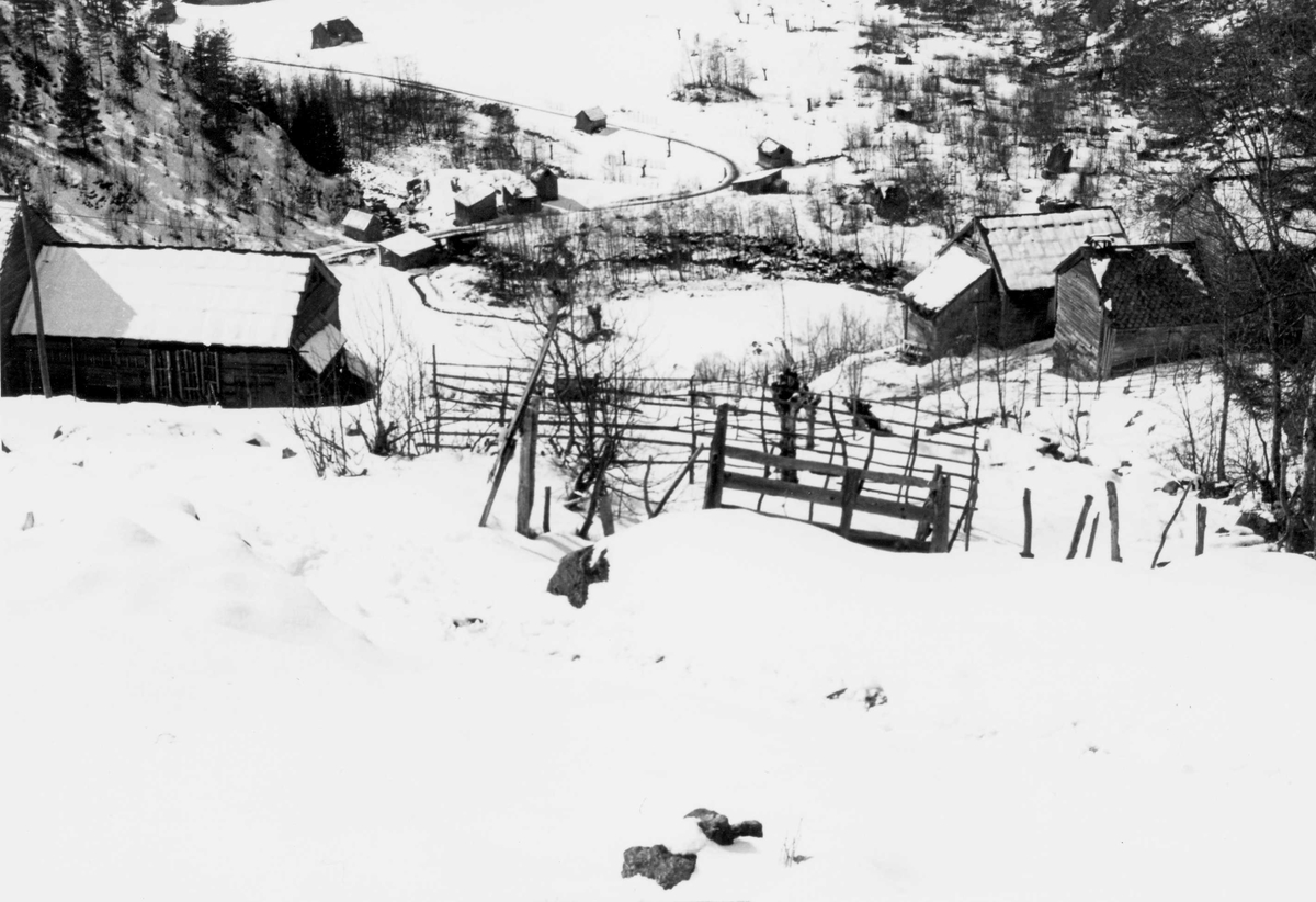 Landskap og bebyggelse ved Brekke. - Norsk Folkemuseum / DigitaltMuseum
