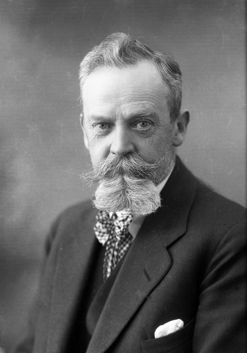 Hovfotograf Karl Nyström på ett självporträtt. - Värmlands Museum ...