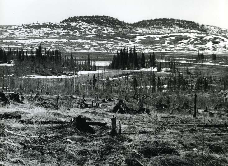 Kalhyggen någonstans i fjällvärlden. - Hälsinglands Museum / DigitaltMuseum