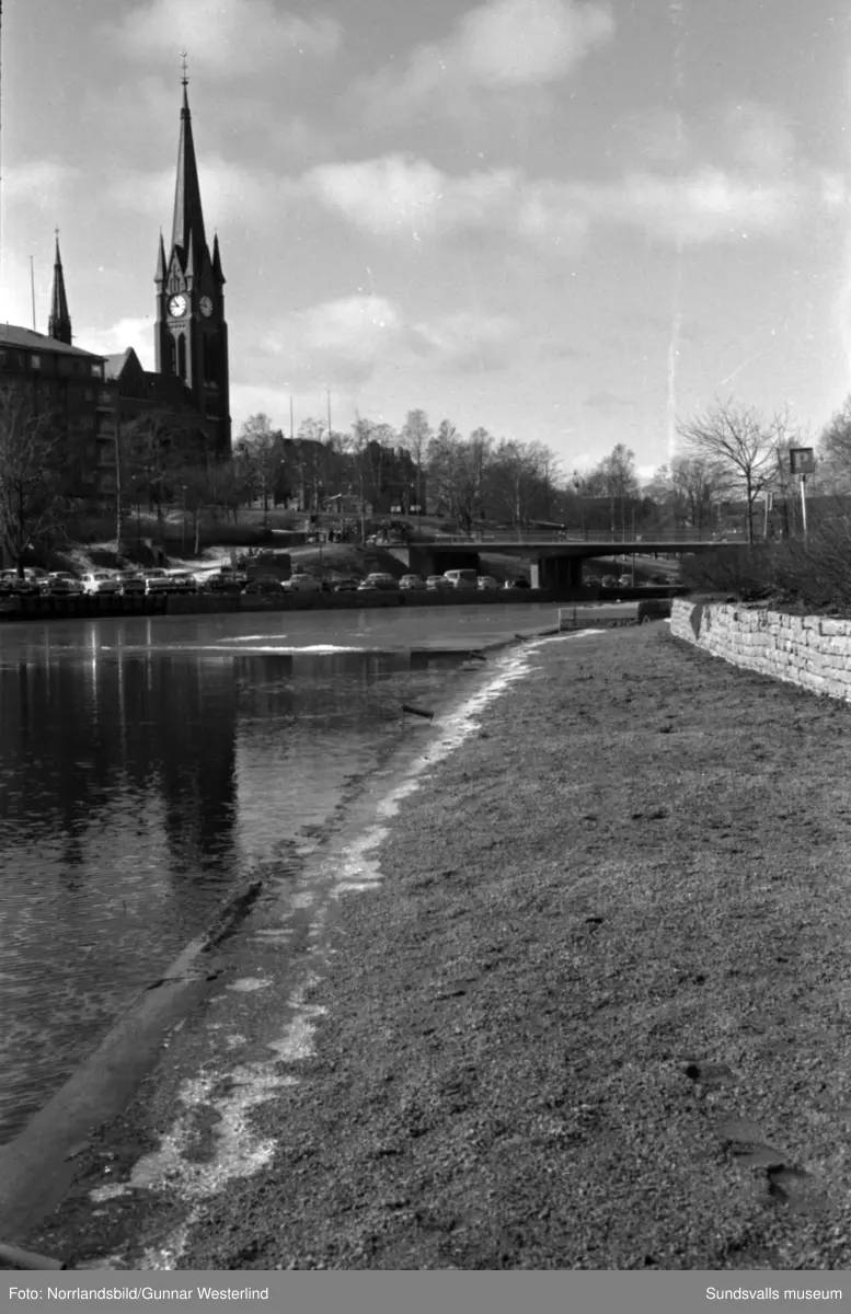 Vårflod med högt vattenstånd i Selångersån. Bilder från områdena på ...