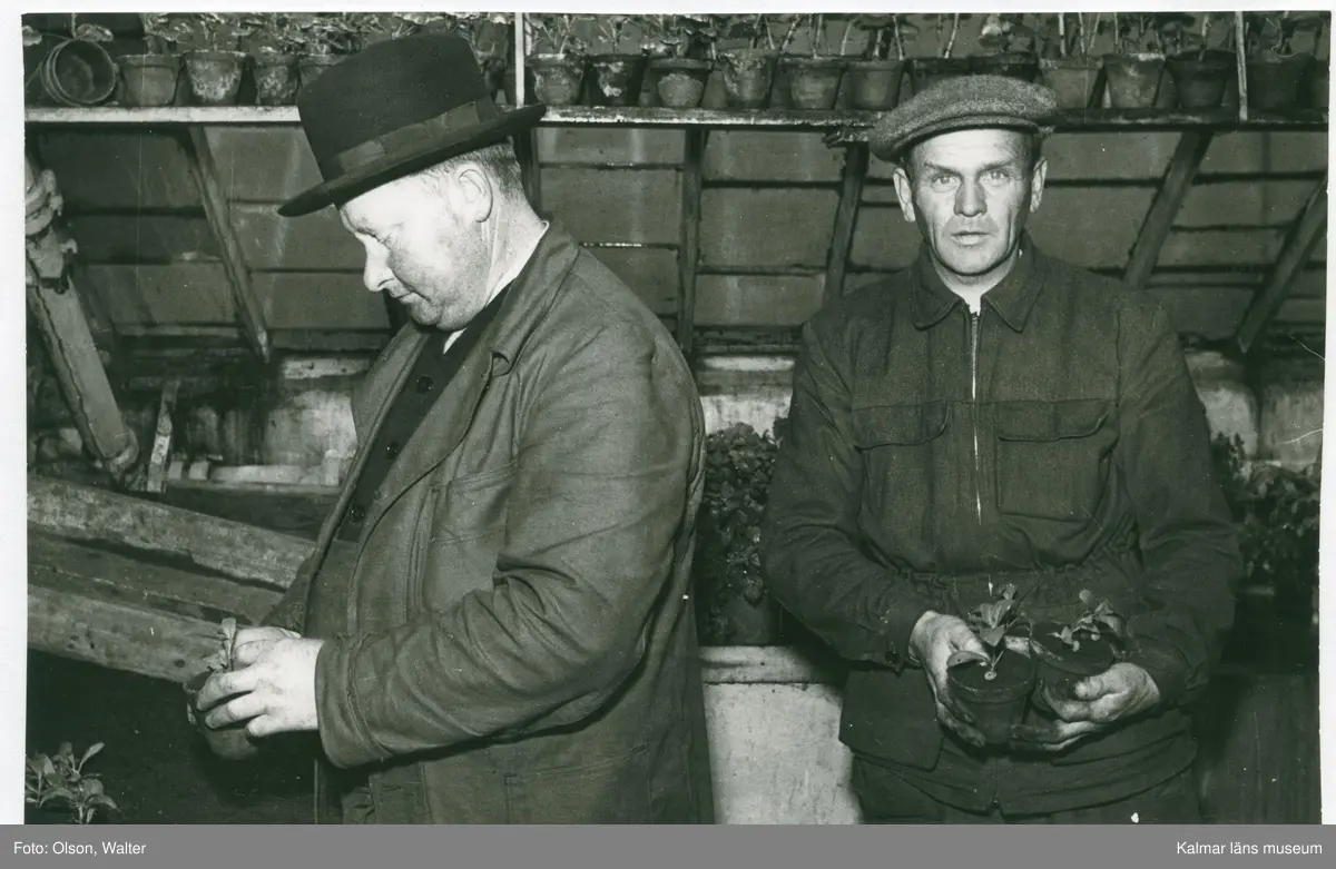 Carl Engström t v och Paul Watz (på parkförvaltningen uppgift av Karl ...