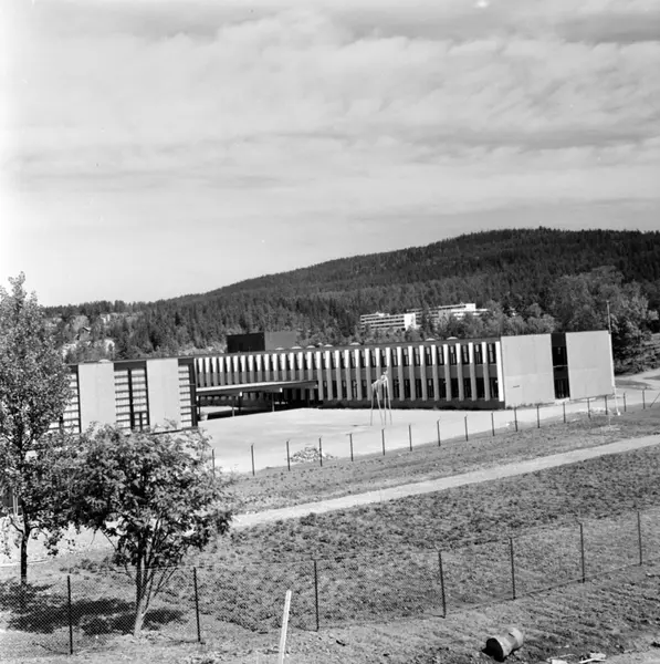 Historien om Ammerud skole - KulturPunkt