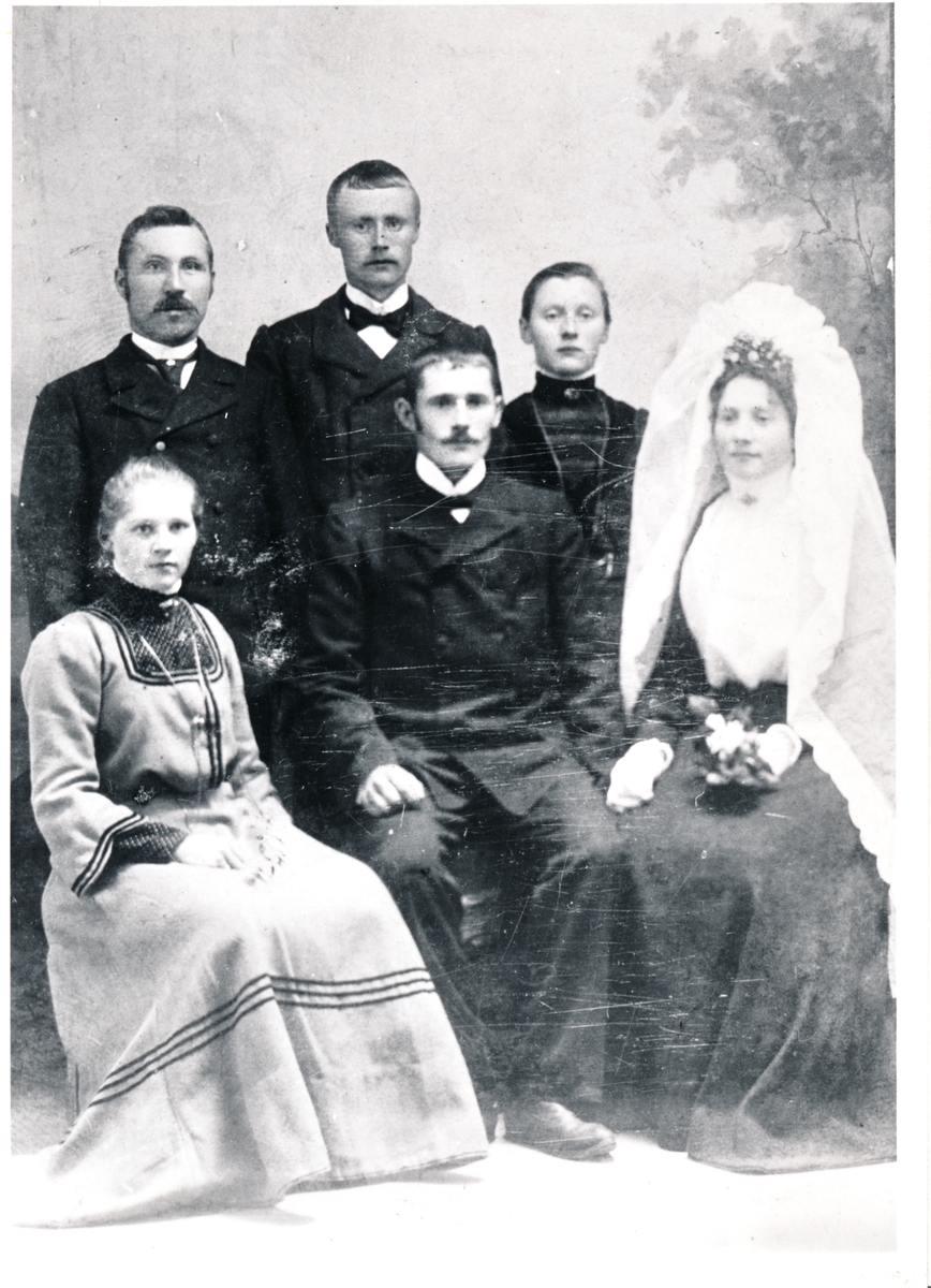 Brudebilde av Peder Larsen og Josefine F. Iversen,ca.1906. Fra venstre ...