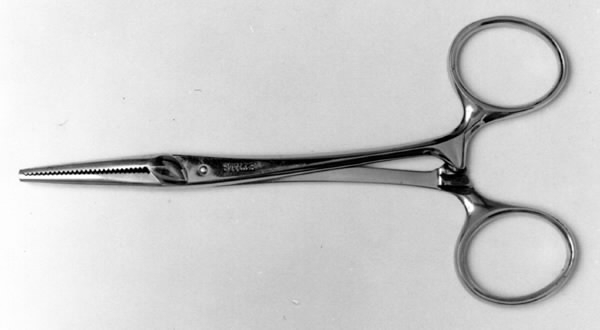 Peang - Hallands kulturhistoriska museum / DigitaltMuseum