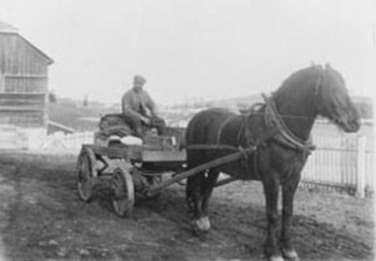 Kjørekar Lars Mathiassen (1872-1968) med hesten "Dovre". Vogn med ...