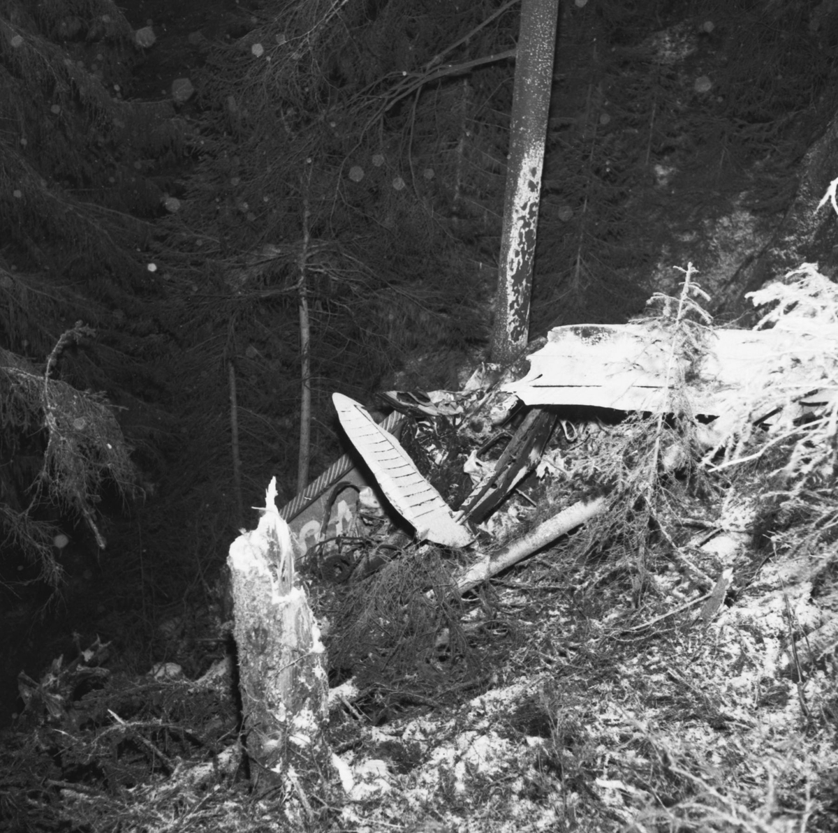 Flyulykke i Ålen - Sverresborg Trøndelag Folkemuseum / DigitaltMuseum