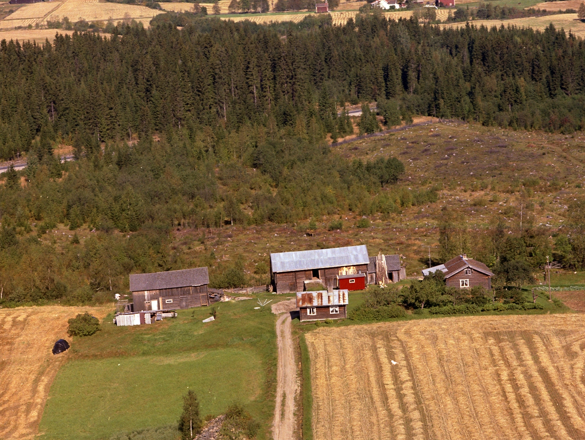 Hagen i Sagene Ring 230 i Hernes - Anno Glomdalsmuseet / DigitaltMuseum