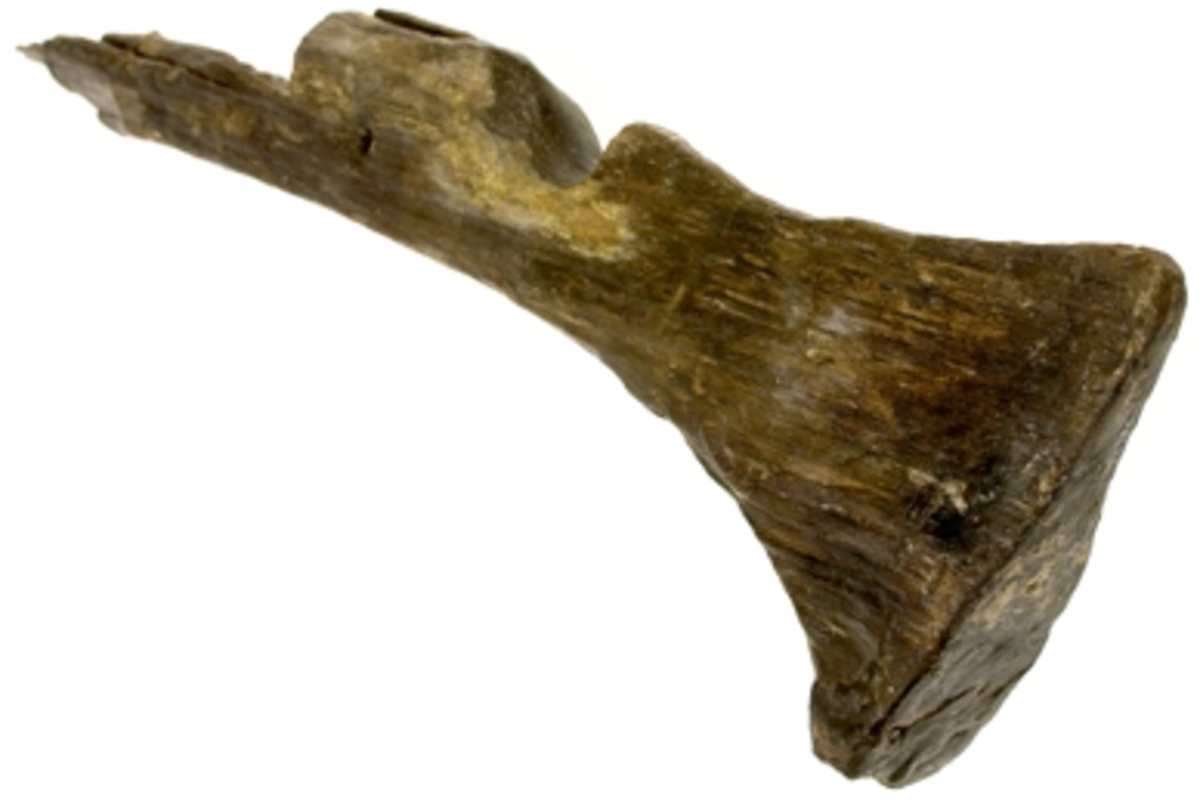 Musköt - Vasamuseet / DigitaltMuseum