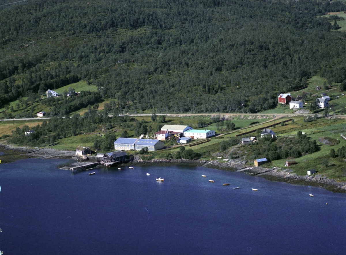 Flyfoto fra Kanebogen. - Sør-Troms Museum / DigitaltMuseum