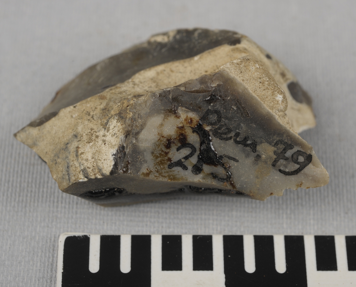 Flint - Svalbard museum / DigitaltMuseum