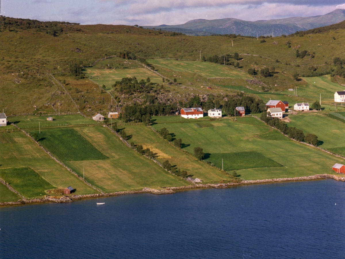 Flyfoto fra Vebostad på Kveøya. - Sør-Troms Museum / DigitaltMuseum