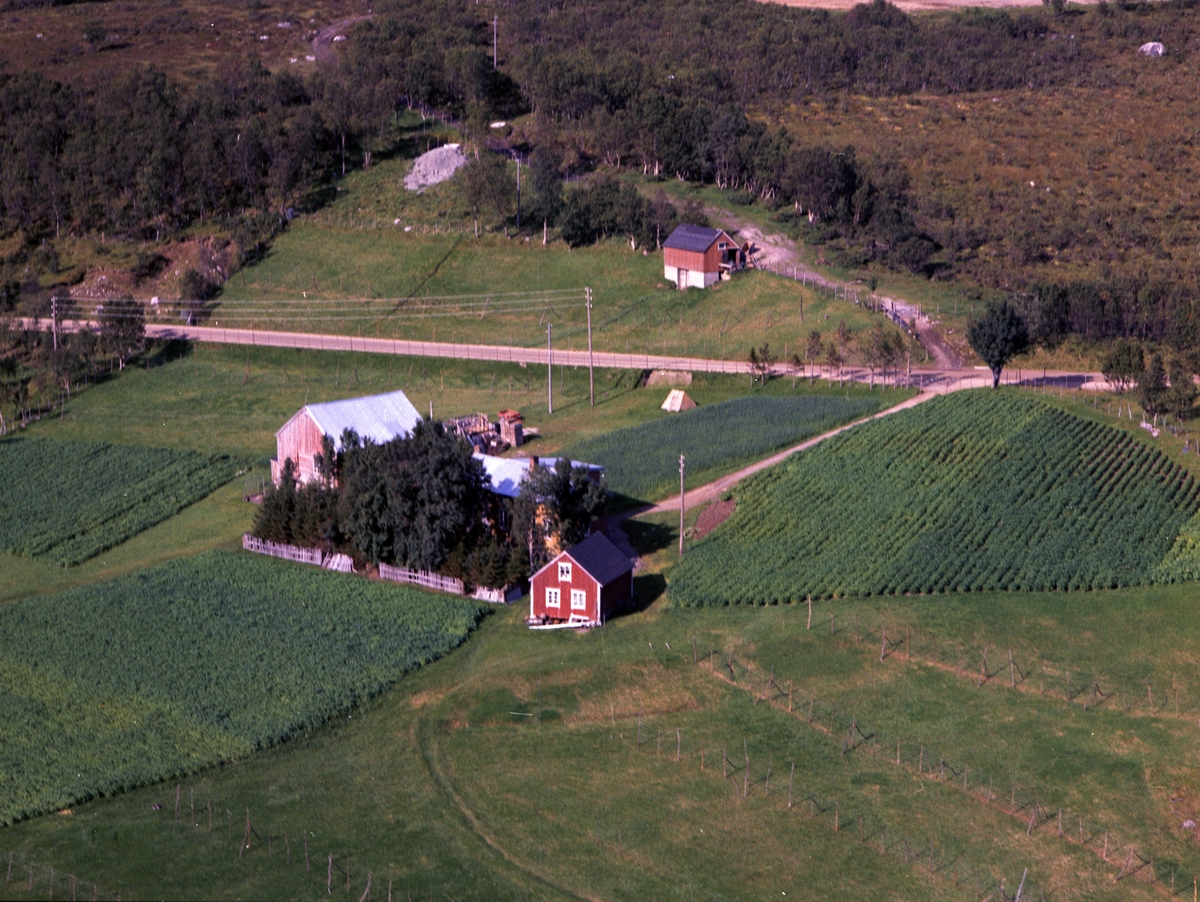 Flyfoto fra Bogen i Kvæfjord. - Sør-Troms Museum / DigitaltMuseum