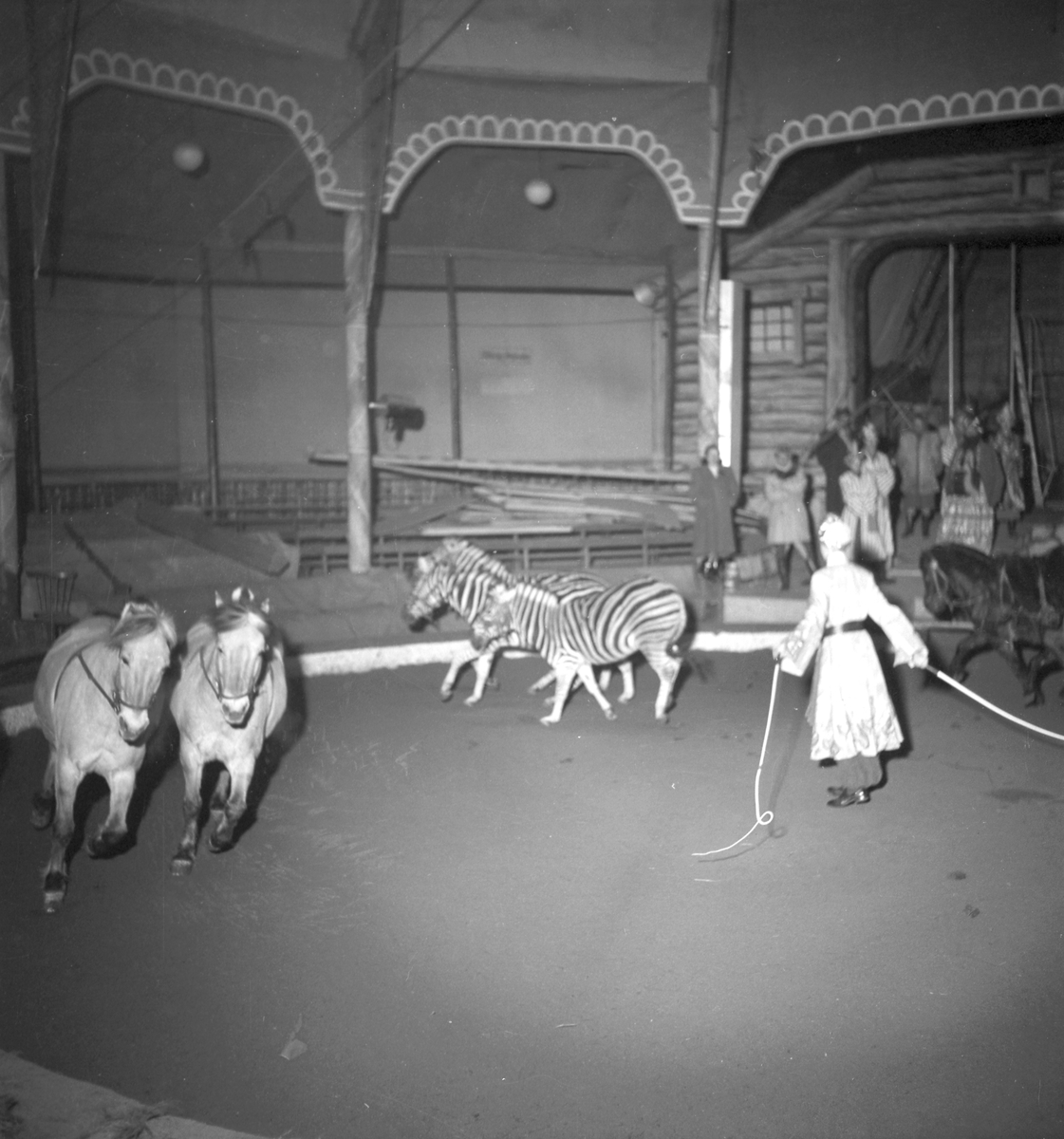 Furuviksparken invigdes pingstdagen 1936. Cirkusbyggnaden Teater-Cirkus ...