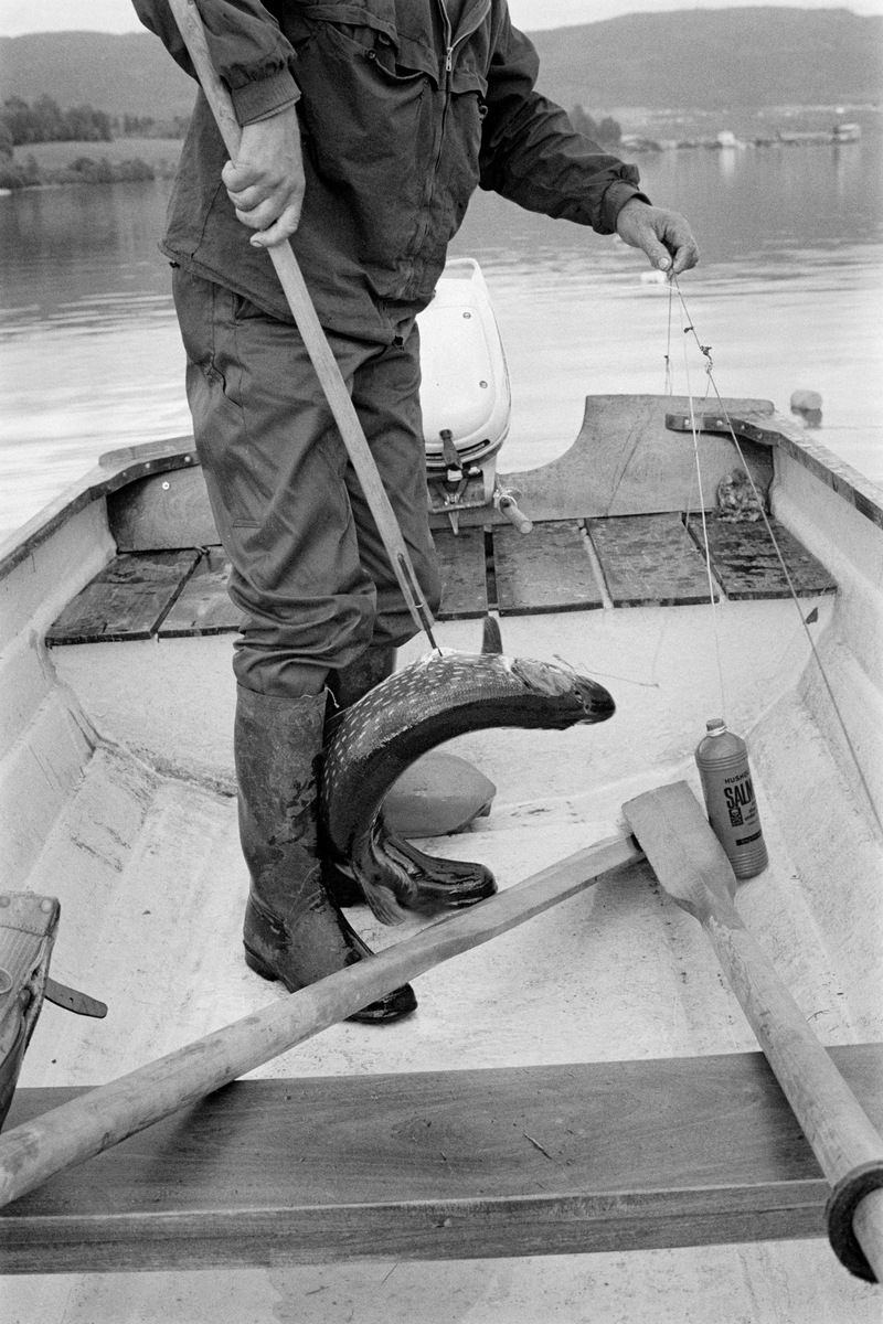 Odd Lundby, Odnes fisker gjedde med reiv. Abbor som agn. Fiske ...