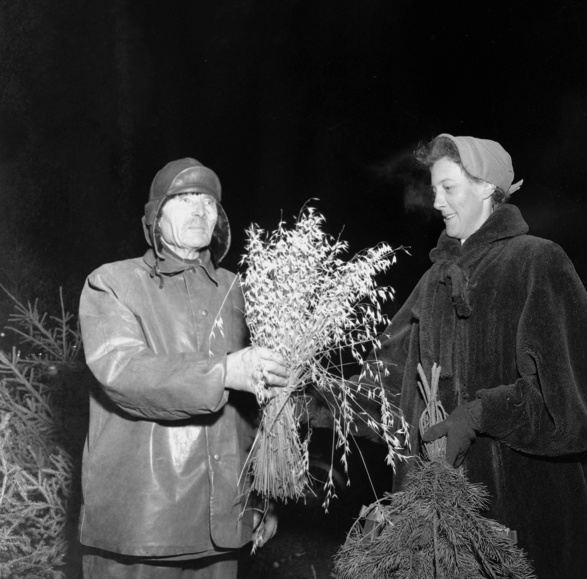 Julgransförsäljning. December 1956. - Örebro läns museum / DigitaltMuseum